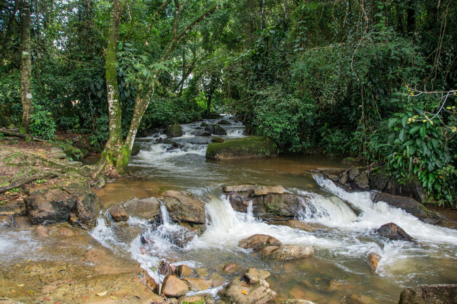 The Ultimate Bonito Travel Guide: Best Things to Do & 3-Day Itinerary ...