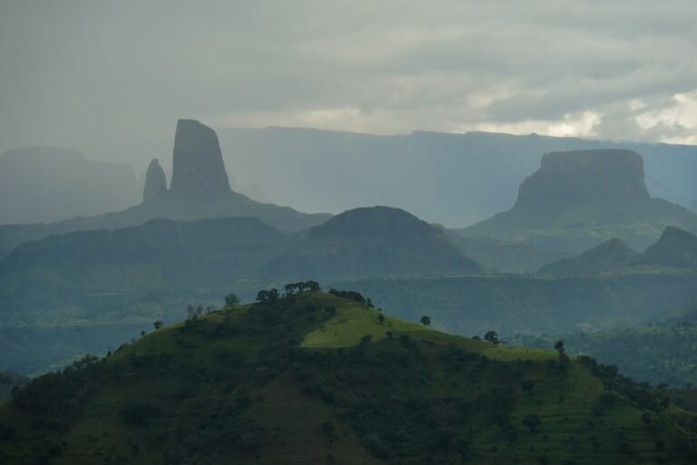 Jimma, Ethiopia's Best Coffee Heritage, Waterfalls & Royal History ...