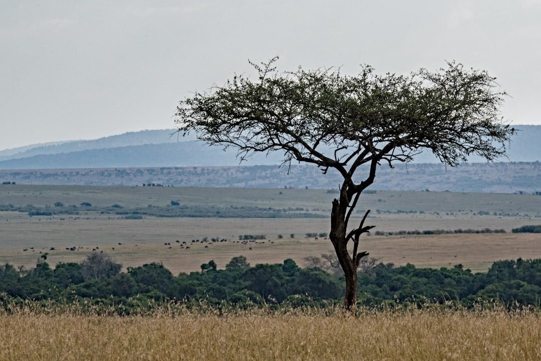 Moyale, Kenya: Amazing Cross-Border Culture, Ancient Trade Routes ...