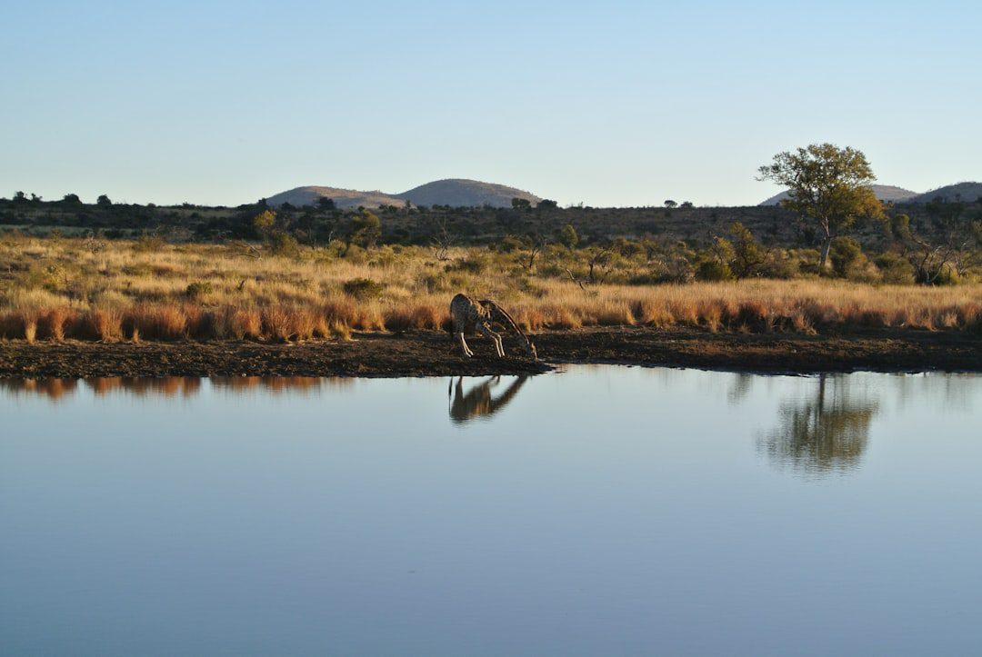 Tsodilo Hills, Botswana: Incredible Ancient Rock Art, Spiritual Energy ...