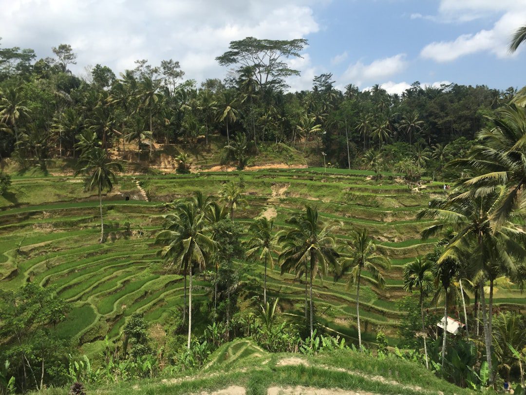 Banda Neira, Indonesia's Amazing Nutmeg, Colonial History & Volcanic ...