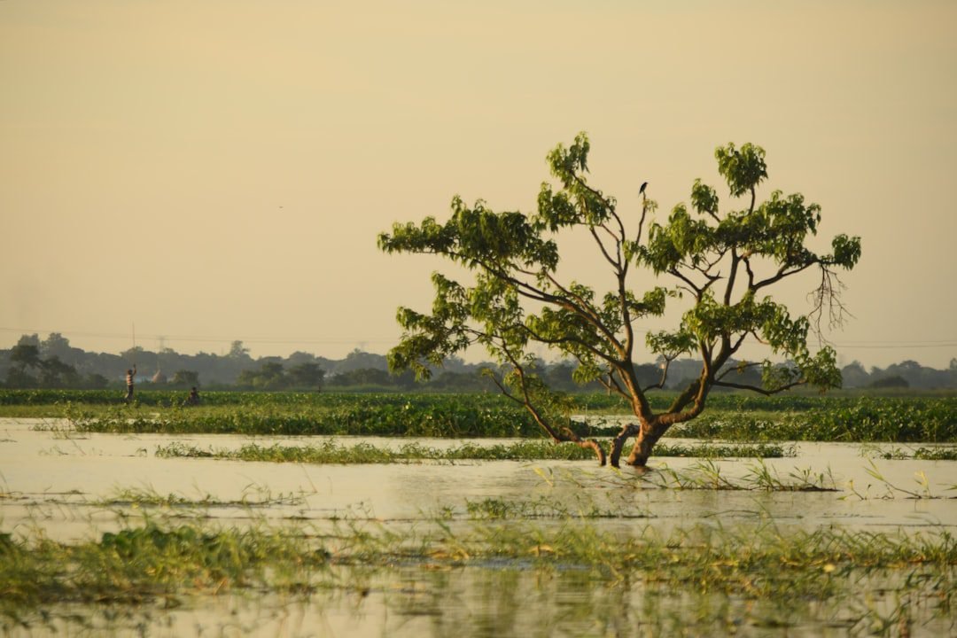 Barotse Floodplain, Zambia's Hidden Wetlands, Royal Culture & River ...