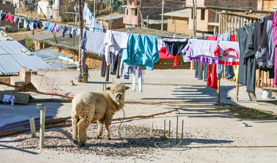 Cajamarca, Peru's Epic History, Hot Springs & Highland Charm (2025 ...