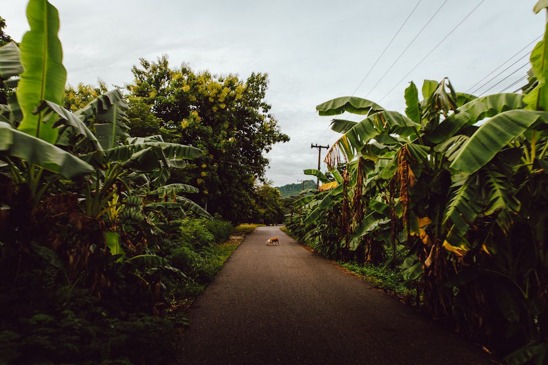 Corn Islands, Nicaragua: Ultimate Caribbean Beaches, Creole Culture ...