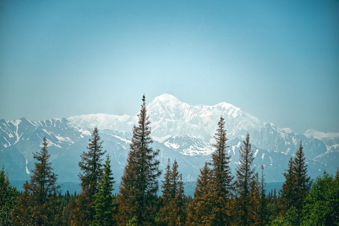 Denali, USA's Amazing Wilderness, Wildlife & North America's Highest ...