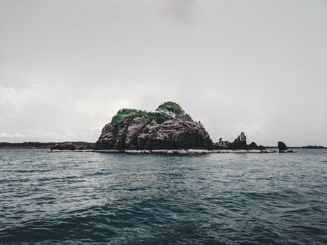 Galápagos (Isabela Island), Ecuador: Essential Penguins, Volcanoes ...