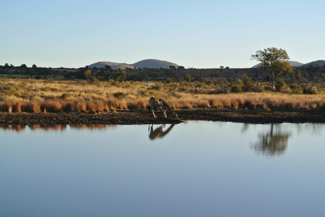 Kasane, Botswana: Essential River Safaris, Elephant Encounters & Four ...