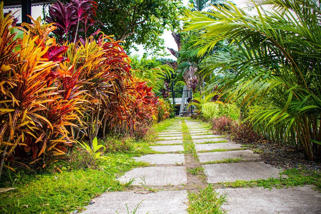 Kokopo, Papua New Guinea: Epic Wartime Relics, Volcanic Views & Island ...