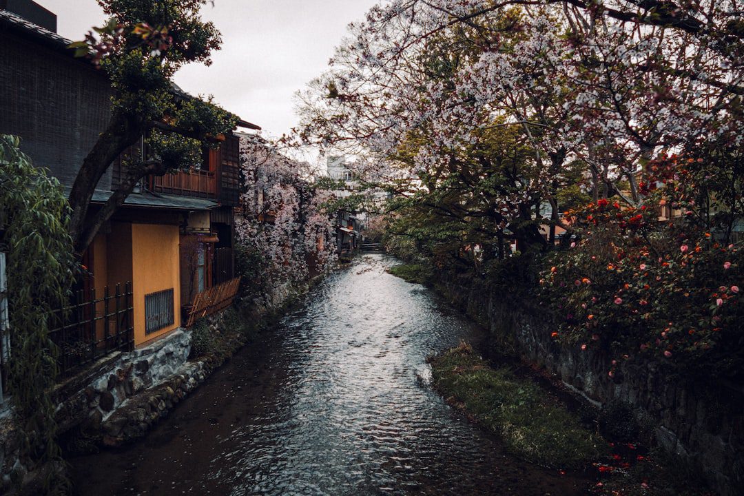 Tome, Japan's Amazing Rice Terraces, Samurai Heritage & Coastal ...