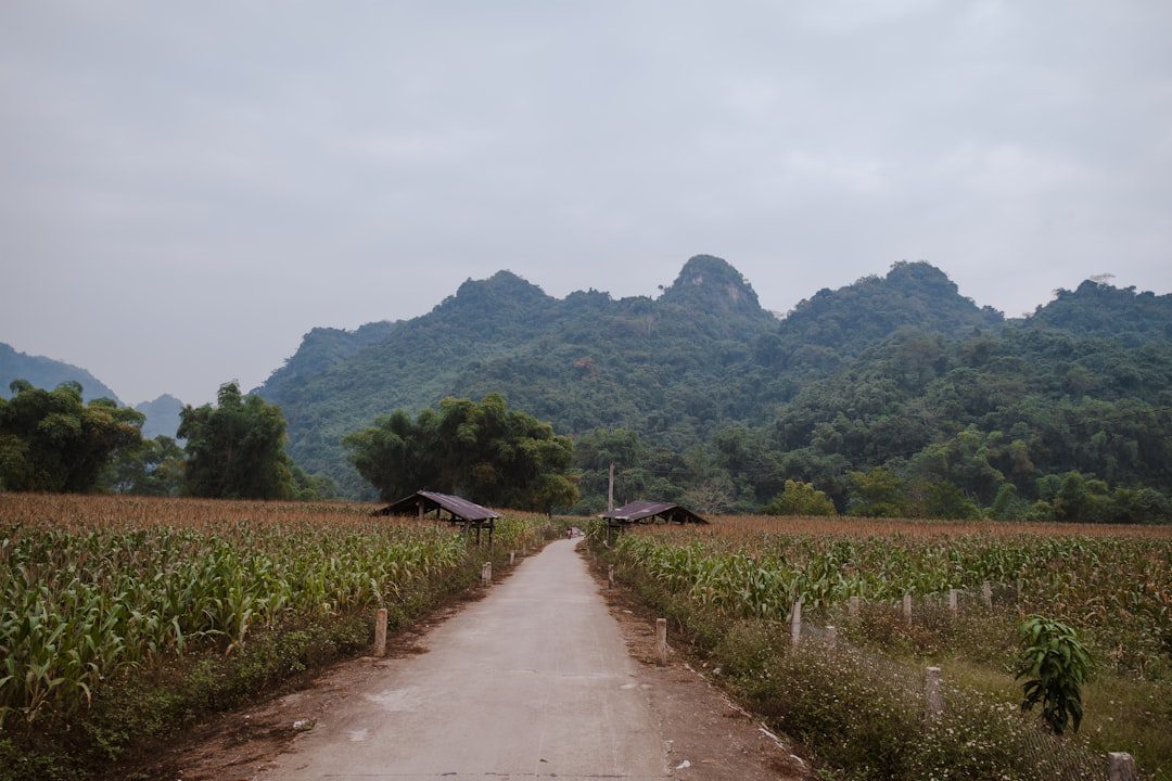 Xieng Khouang (Plain of Jars), Laos - tangyOcean