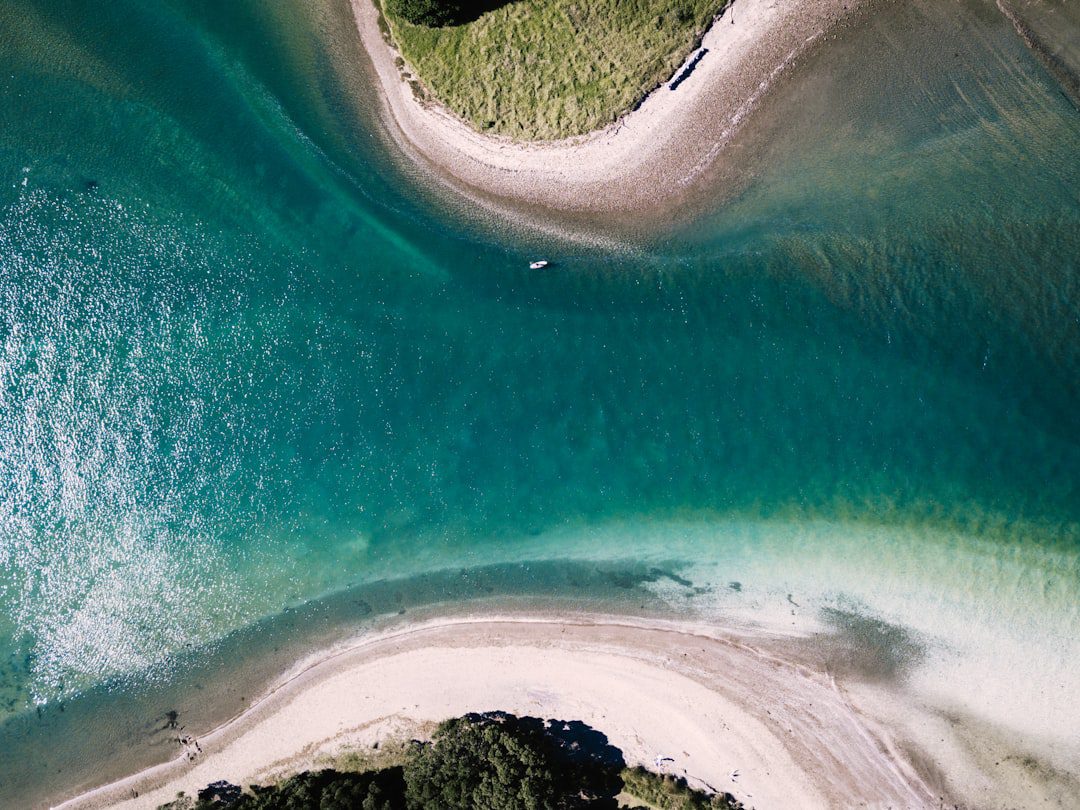 Chatham Islands’ Pitt Island, New Zealand: Hidden Solitude, Seabirds ...