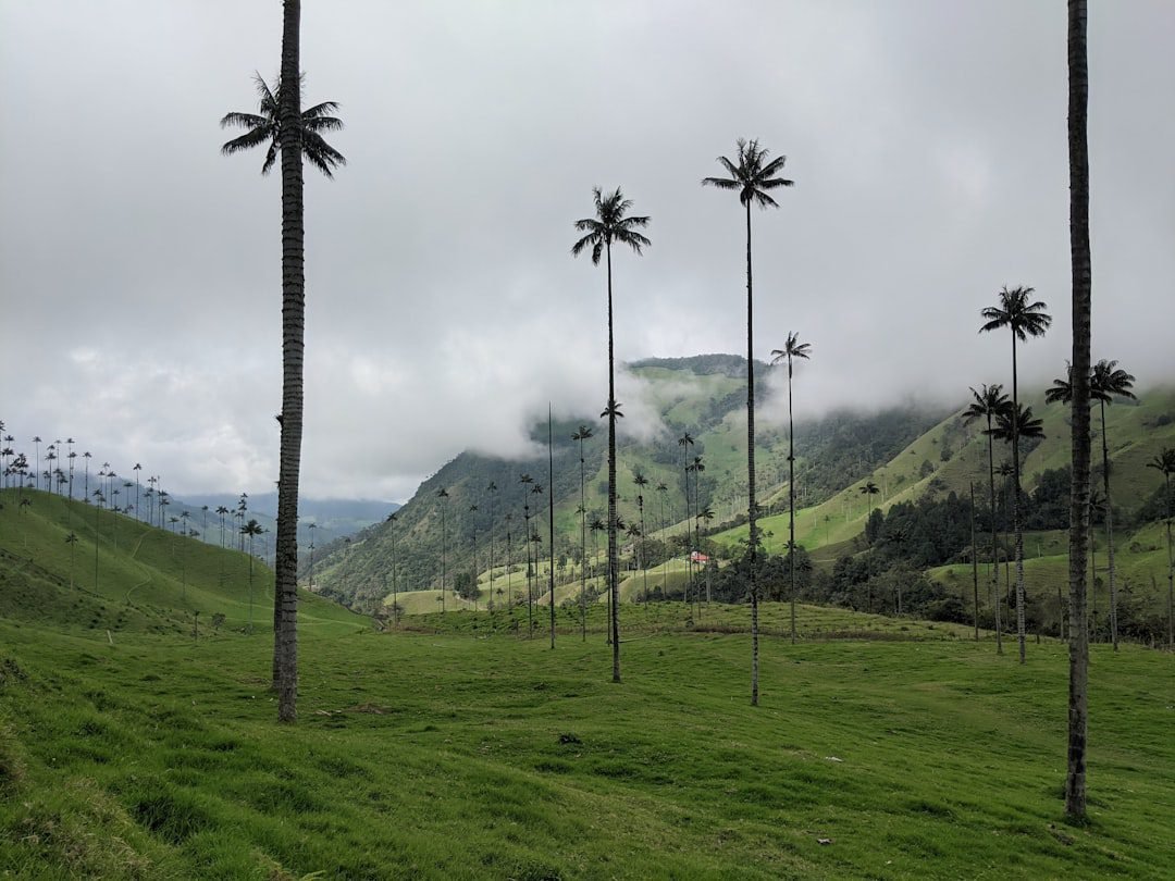 Moroni, Comoros's Stunning Volcanic Peaks, Swahili Soul & Untouched ...