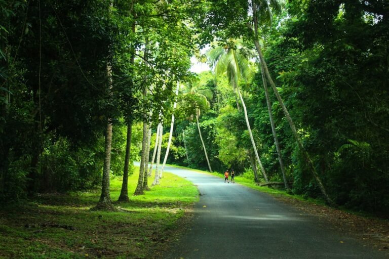 Wewak, Papua New Guinea: Incredible WWII History, Sepik Culture ...