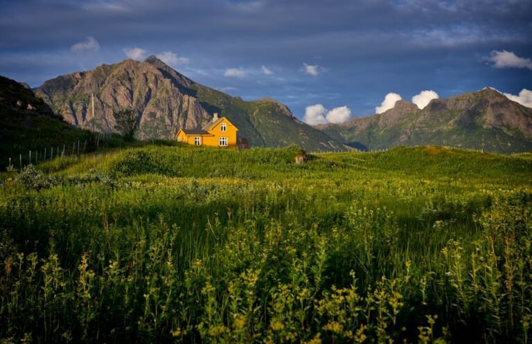 Arctic Circle, Norway's Hidden Northern Lights, Midnight Sun & Sami ...