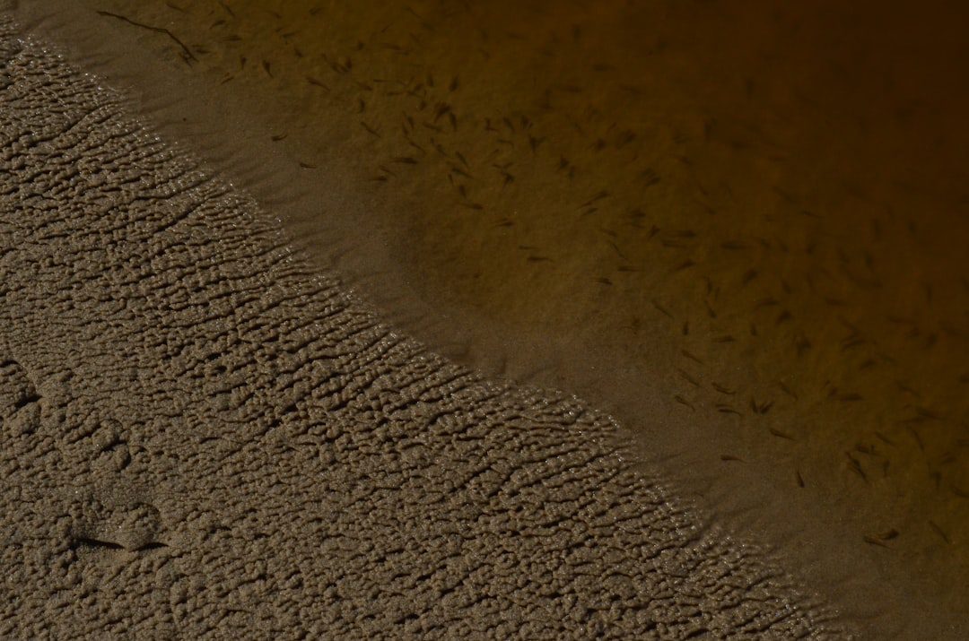 Rocha, Uruguay's Best Wild Beaches, Gaucho Culture & Star-Filled Skies ...