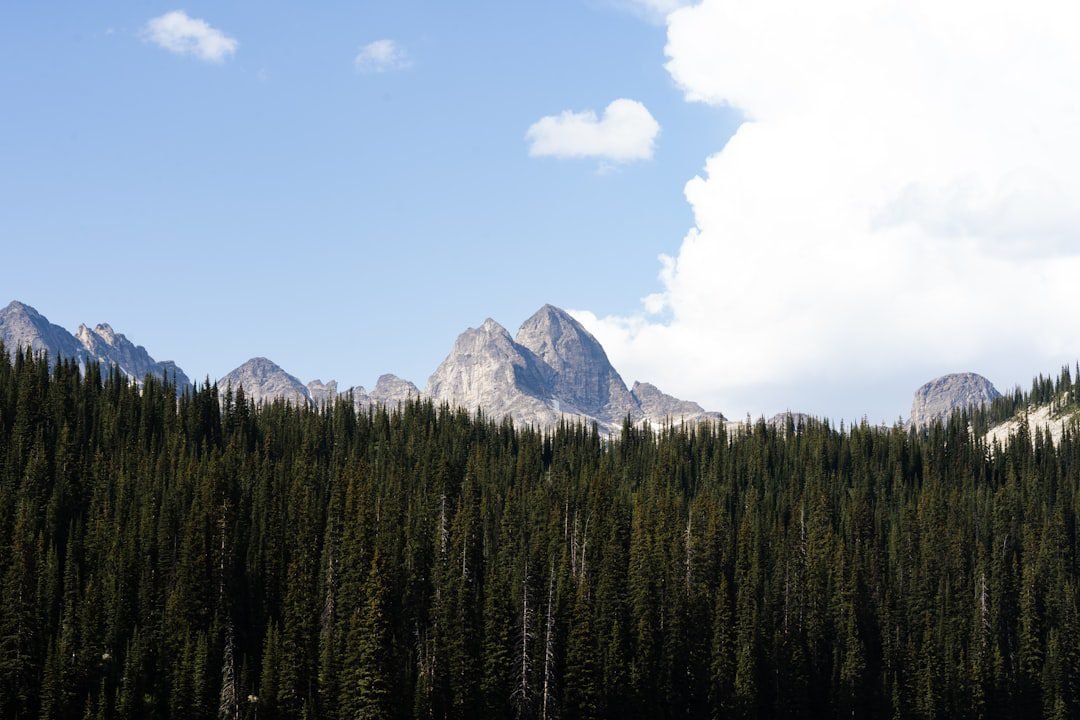 Tumbler Ridge, Canada's Hidden Dinosaur Tracks, Waterfalls & Mountain ...