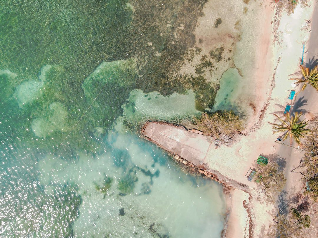 Utila, Honduras's Stunning Diving, Dolphins & Barefoot Island Life ...