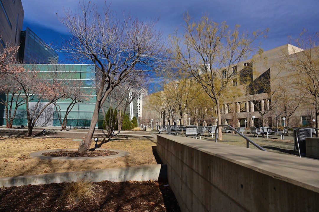 Denver, USA's Ultimate Peaks, Pints & Urban Pioneering (2026) - tangyOcean