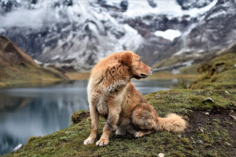 Huayhuash Circuit, Peru's Ultimate Glaciers, Solitude & Andean Majesty ...